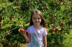 VISIT THE FARM – Blue Jay Orchards