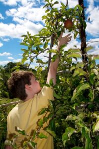 VISIT THE FARM – Blue Jay Orchards