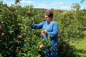 VISIT THE FARM – Blue Jay Orchards