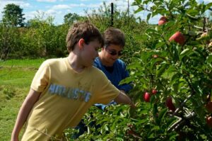 VISIT THE FARM – Blue Jay Orchards