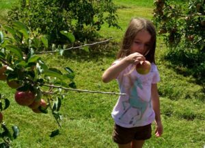 VISIT THE FARM – Blue Jay Orchards