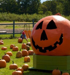 VISIT THE FARM – Blue Jay Orchards