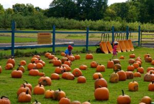 VISIT THE FARM – Blue Jay Orchards