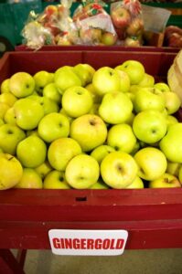 VISIT THE FARM – Blue Jay Orchards