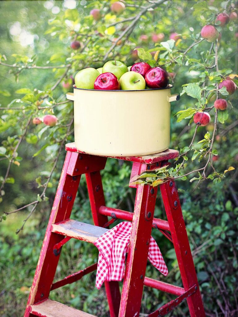 PICK YOUR OWN – Blue Jay Orchards