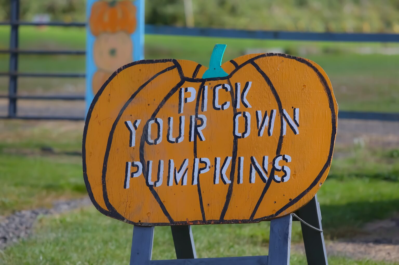 PUMPKIN PATCH – Blue Jay Orchards